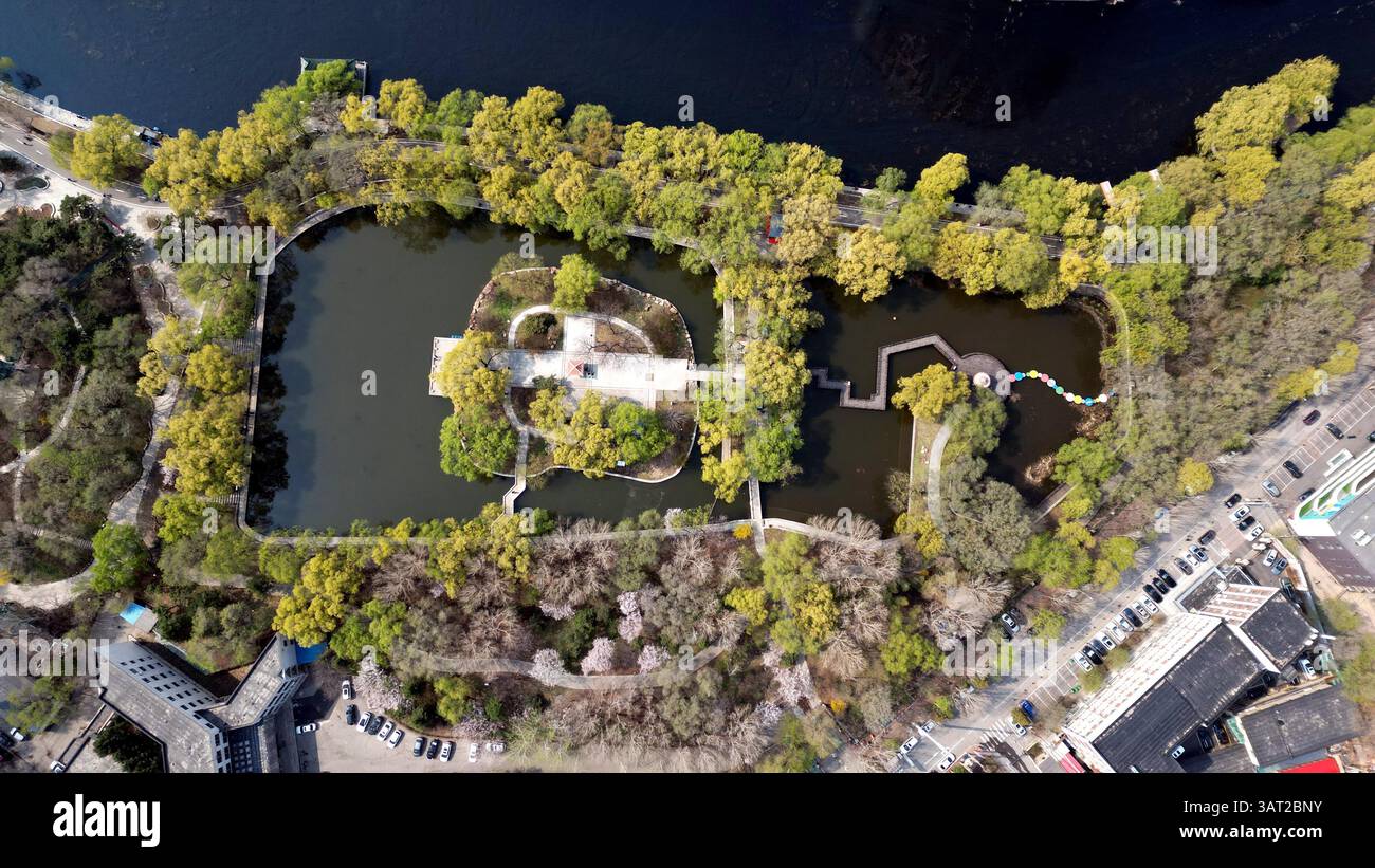 Aerial photo shows the spring scenery of Nanhu Park in Shenyang City ...