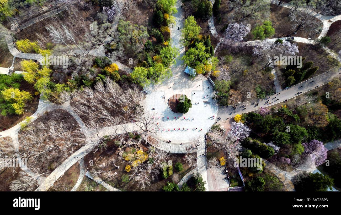 Aerial photo shows the spring scenery of Nanhu Park in Shenyang City ...