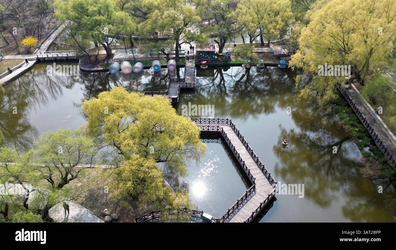 Aerial photo shows the spring scenery of Nanhu Park in Shenyang City ...