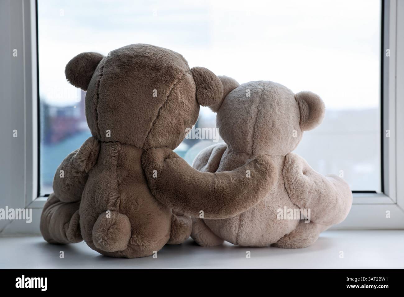 Two cute teddy bears near window indoors, back view Stock Photo - Alamy