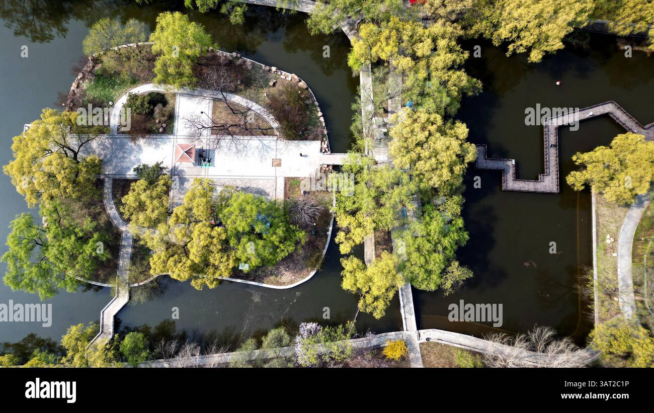 Aerial photo shows the spring scenery of Nanhu Park in Shenyang City ...