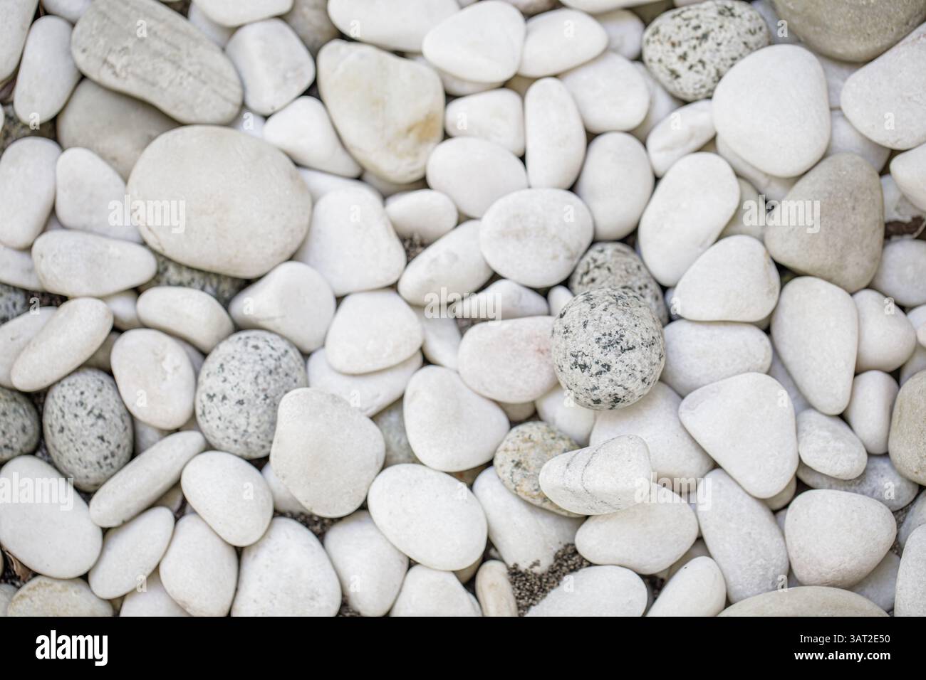 Natural pebble background smooth stones varied shades stunning textures spa themes nature ...