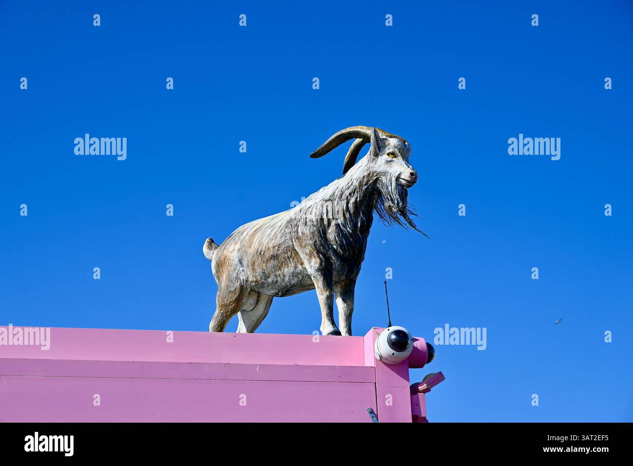goat ledge cafe on the sea front at st leonards hastings england Stock ...