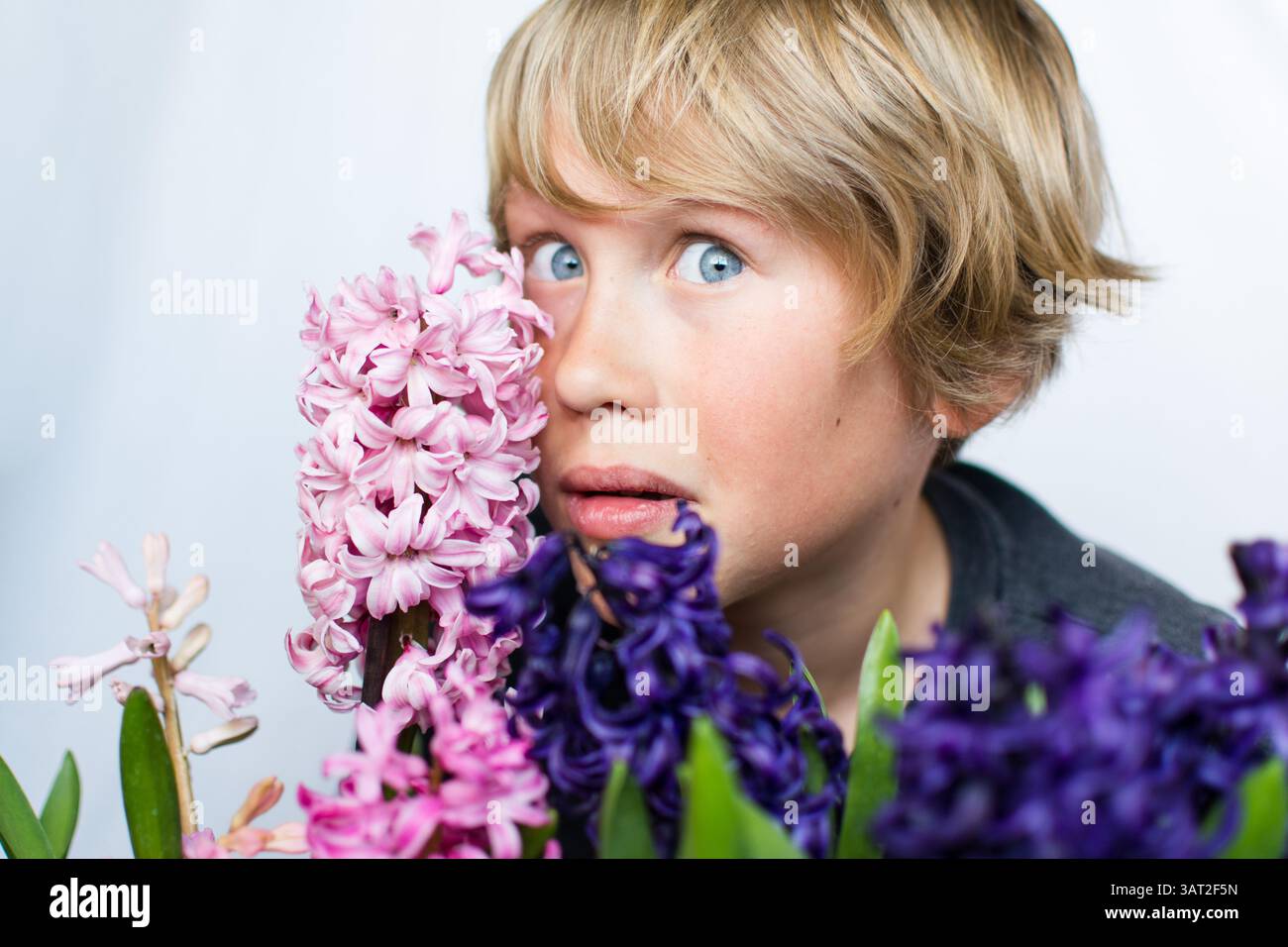 Blonde boy posing with silly face with hyacinth blooms Stock Photo - Alamy