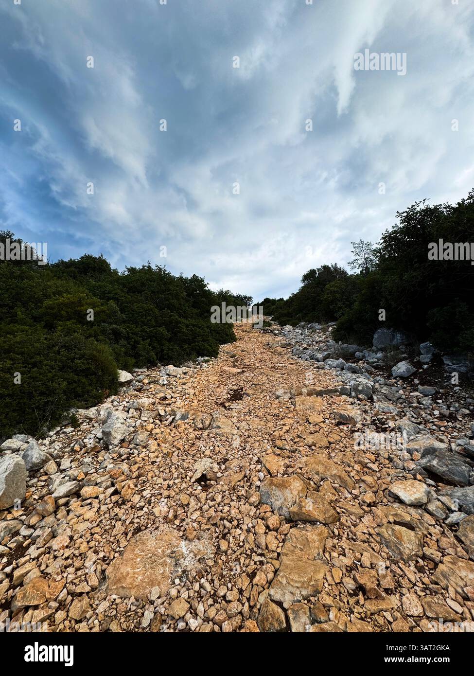 A rugged pathway ascends a hill surrounded by greenery and rocky ...