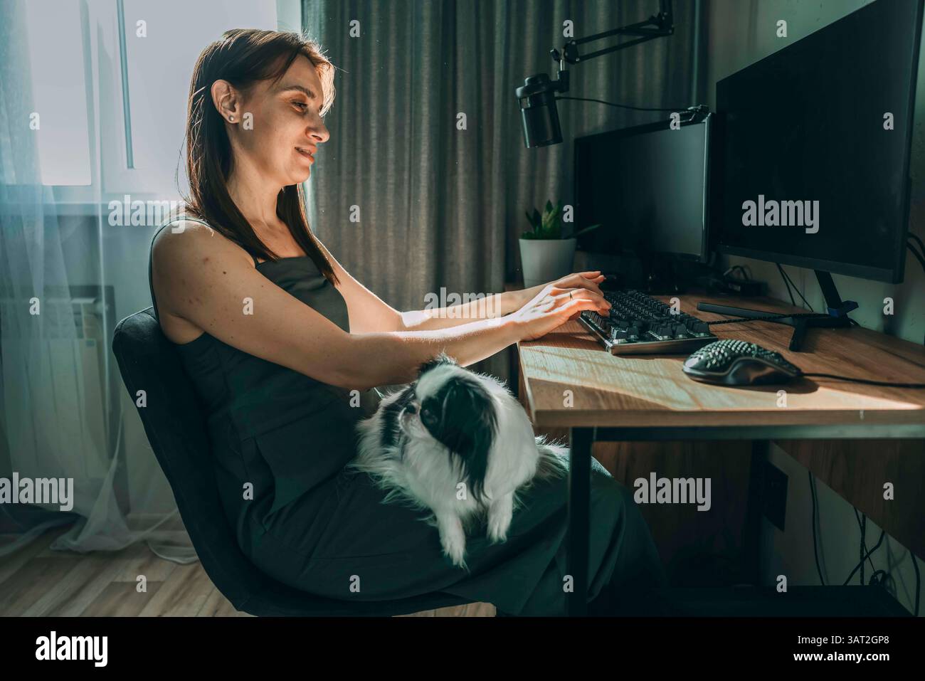 Balancing work and comfort with a furry friend by your side Stock Photo ...