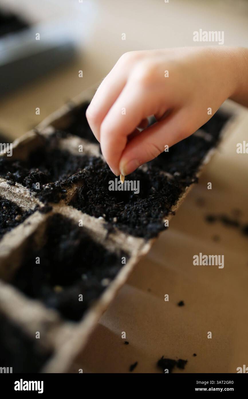 Child planting seed with tools hi-res stock photography and images - Alamy