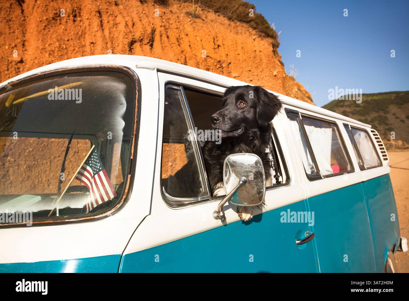 Black Labrador in Camper Van by California Coast Stock Photo - Alamy