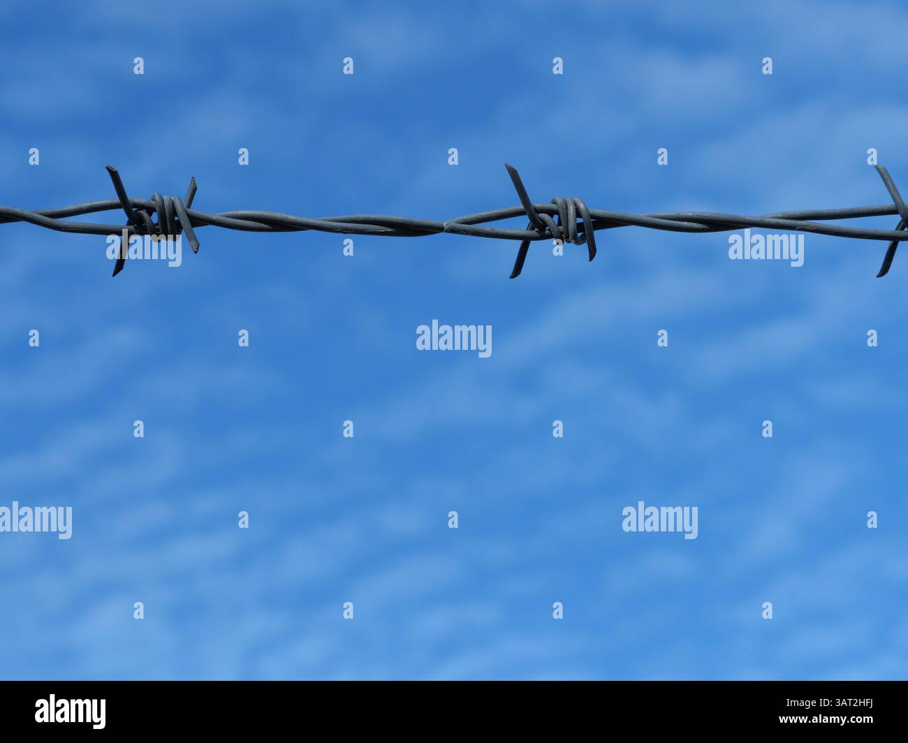 Galvanized barbed wire with four points per knot, preventing unauthorized access, especially in ...