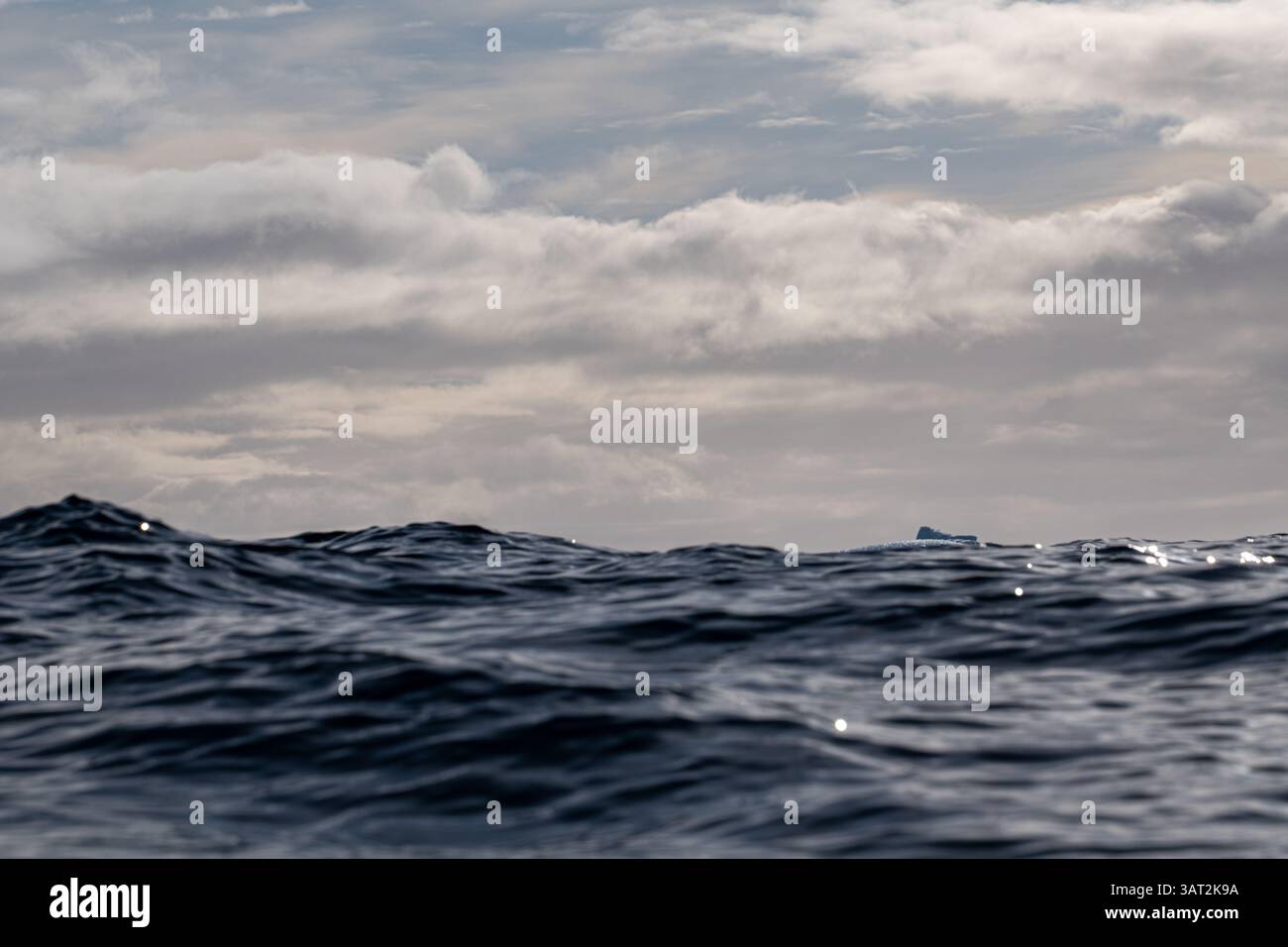 Southern Ocean. Water. Antarctica. Endless water Stock Photo - Alamy