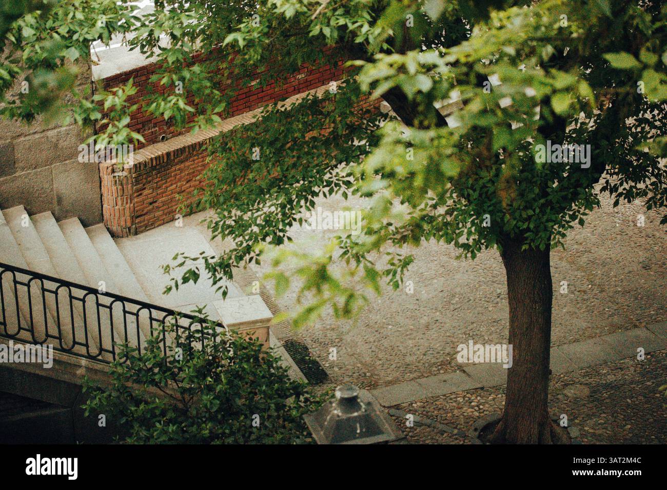 A beautiful urban scene featuring stairs, a brick wall, lush trees, and ...