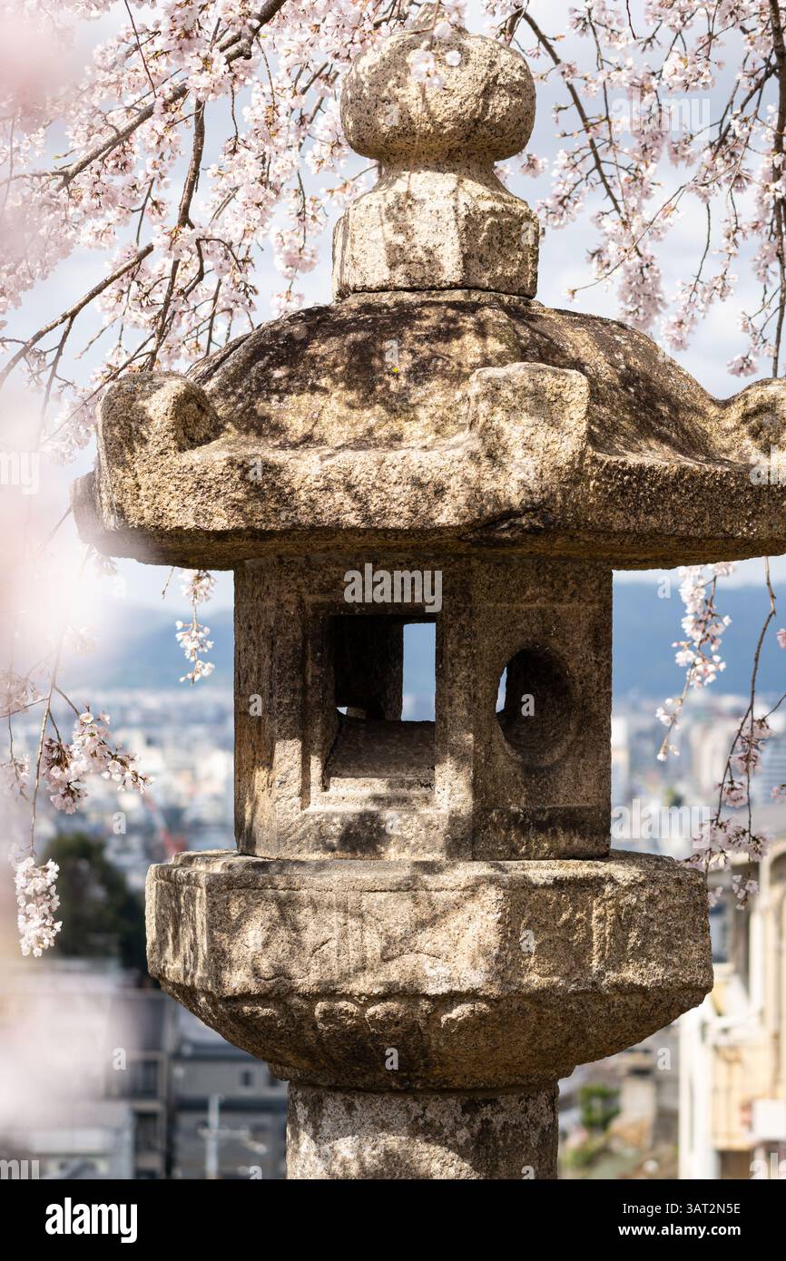 Cherry blossom framing a Japanese lantern during spring Stock Photo - Alamy