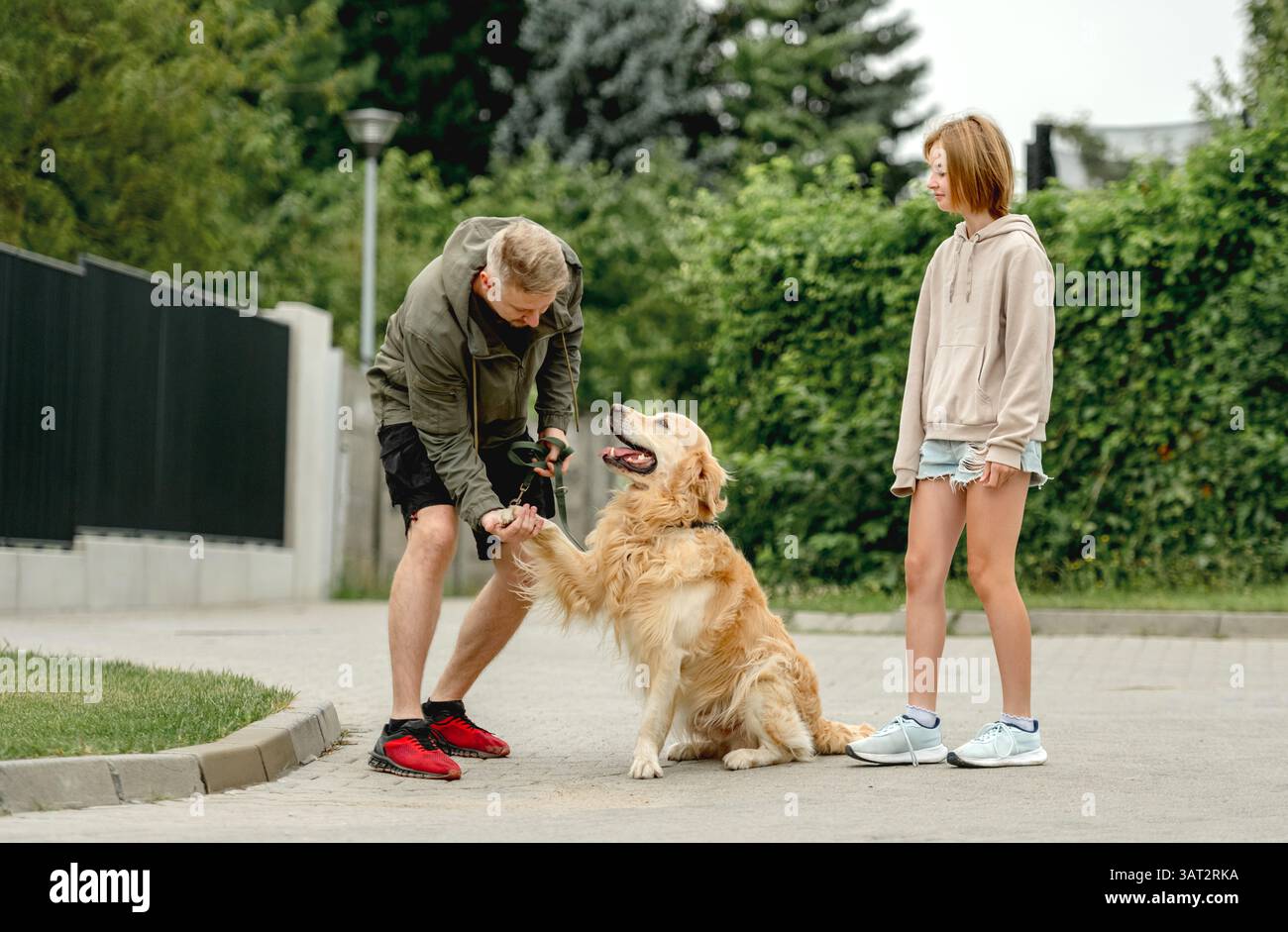 Golden Retriever Gives Paw To Owner Who, With Daughter, Went For A ...