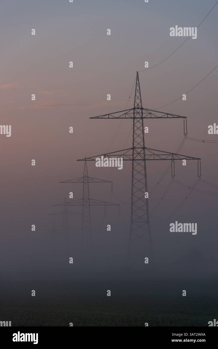 Electricity pylon in dense hi-res stock photography and images - Alamy