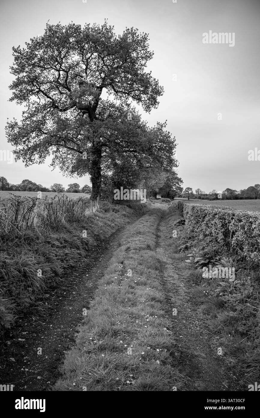 British rural landscape road Black and White Stock Photos & Images - Alamy