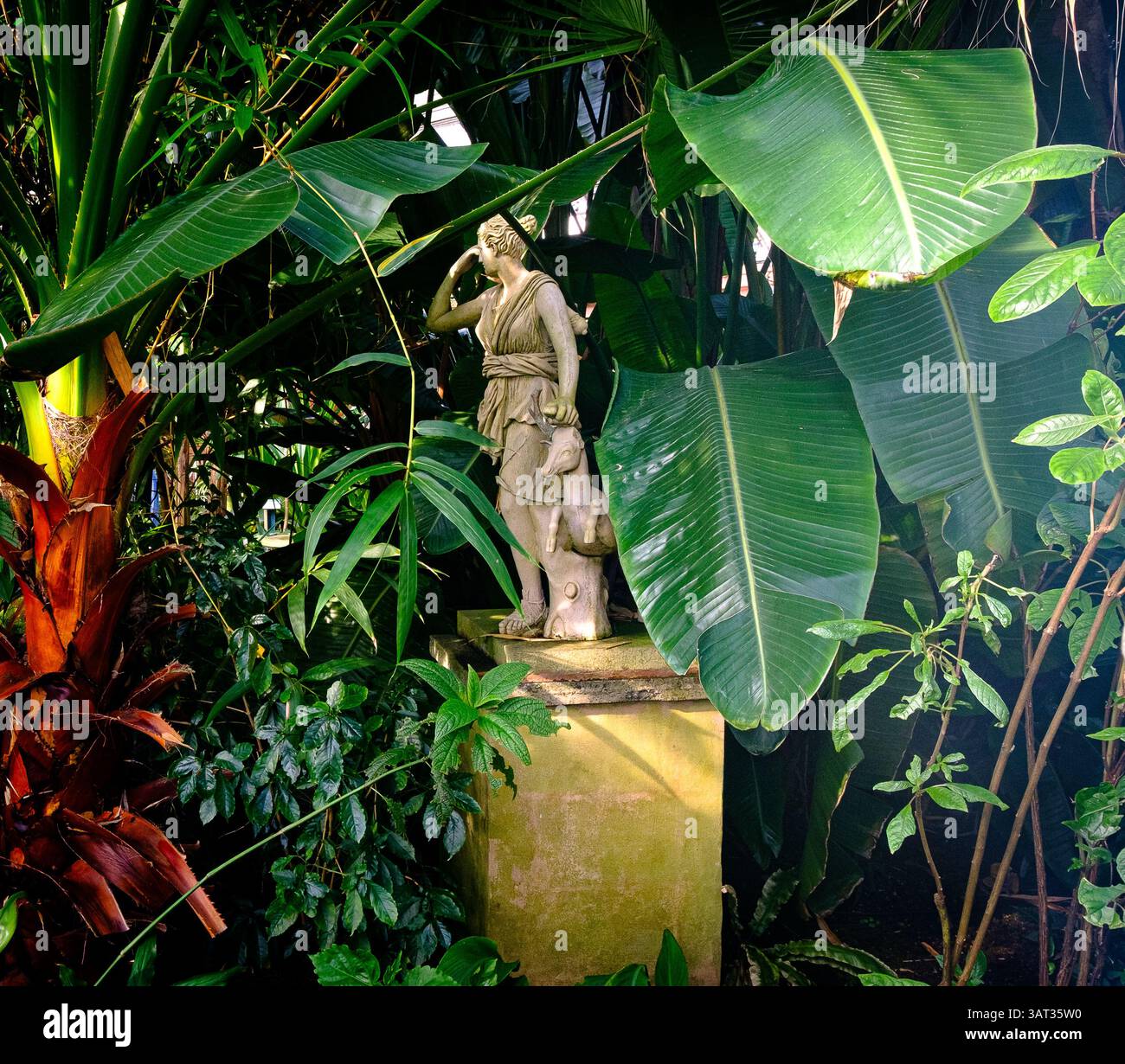 A statue amongst the palms in the tropical greenhouse at Birmingham ...