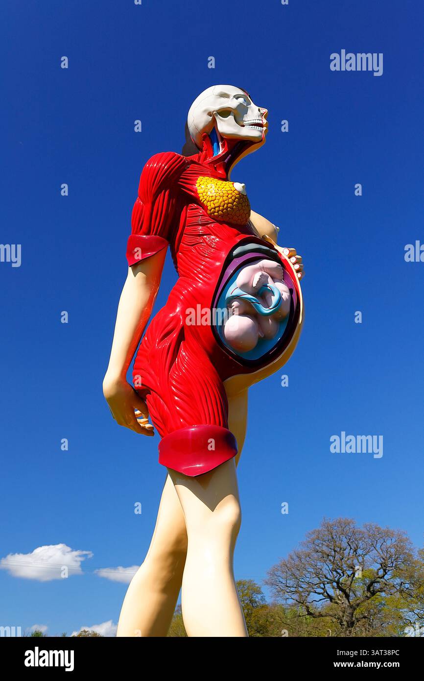 The Virgin Mother is a sculpture by artist Damien Hirst on display at ...