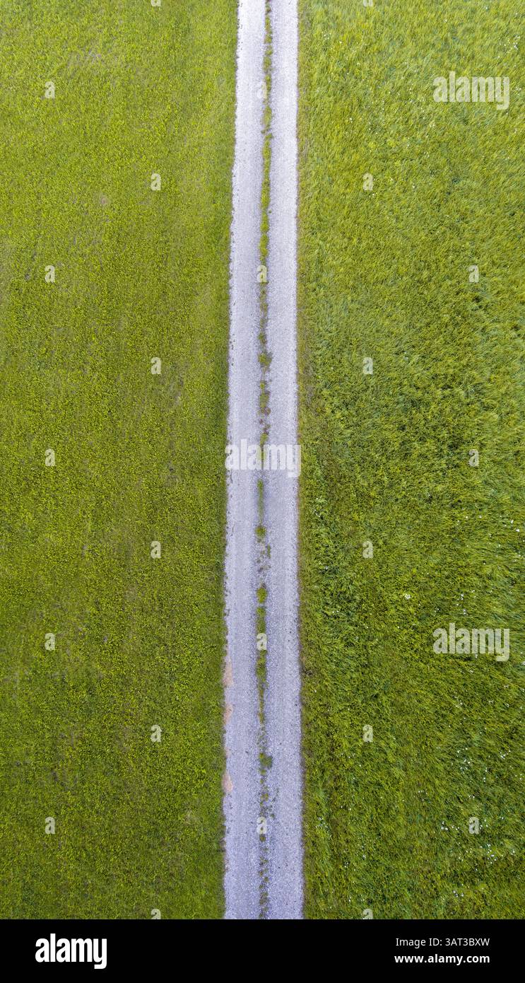 Drone vertical panorama with a countryside road between green fields ...