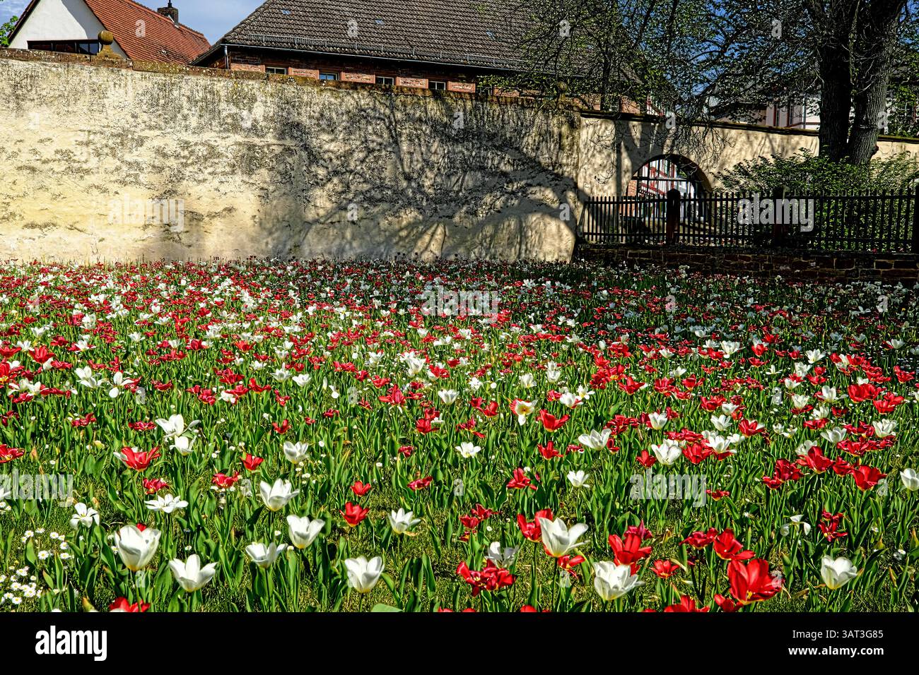 Im Klostergarten der Einhard Basilika Seligenstadt Stock Photo - Alamy