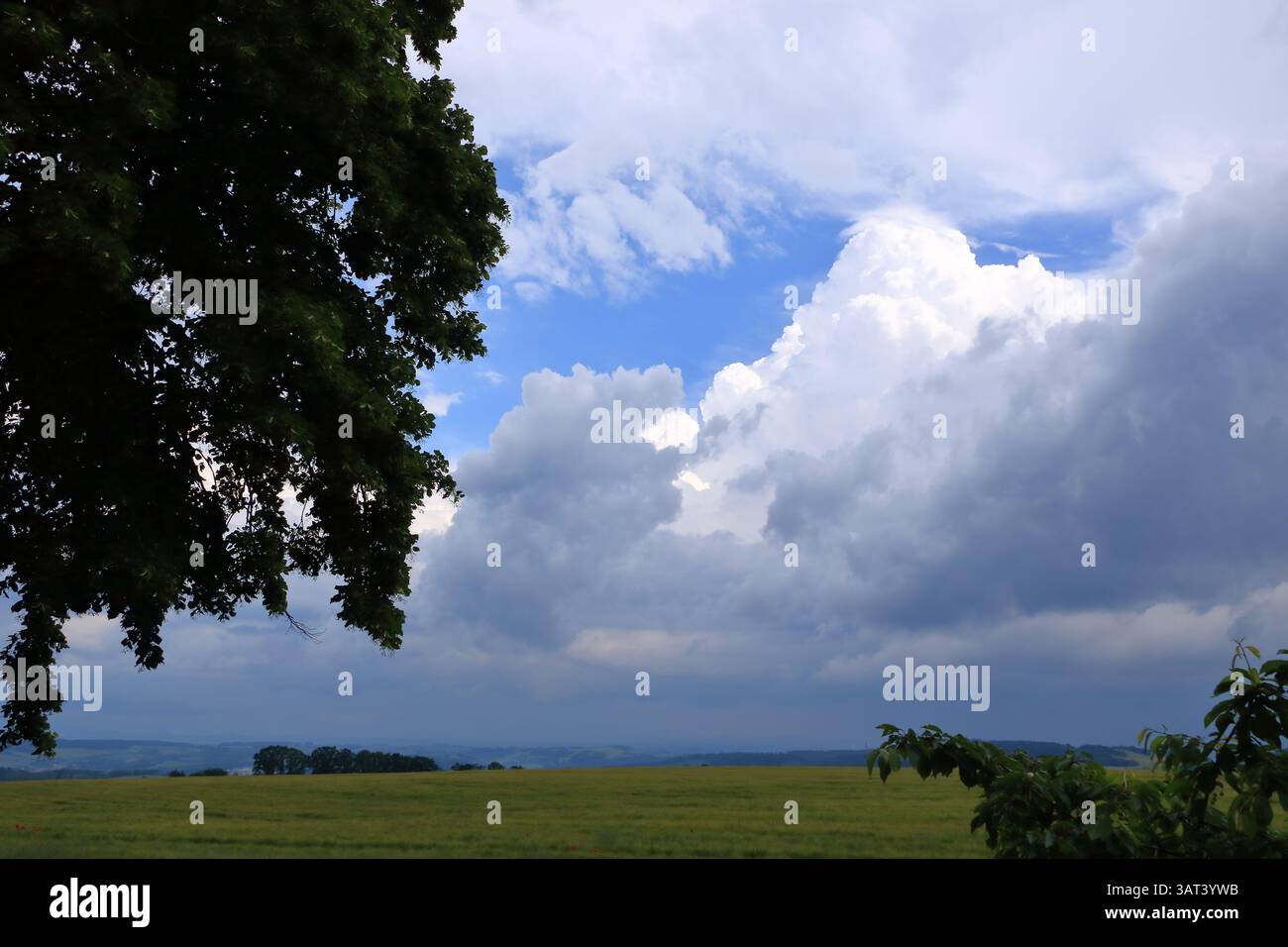 Big clouds are floating in the sky, forming together into rain clouds ...