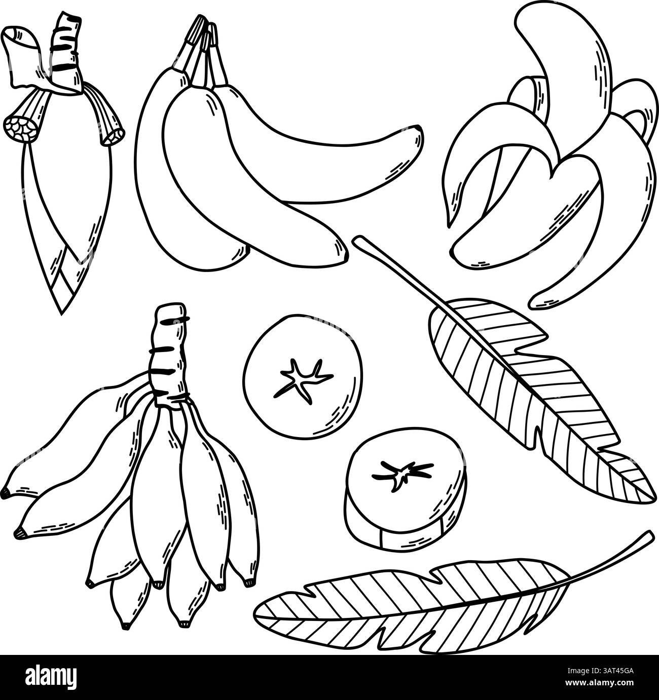 A doodle-style illustration featuring bananas, banana slices, and leaves drawn in a black-and ...