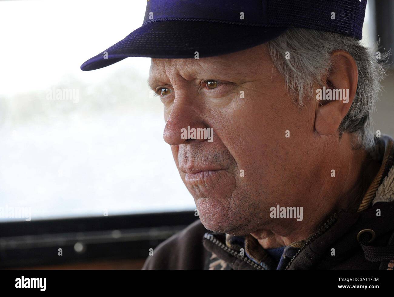 Glass eels asia hi-res stock photography and images - Alamy
