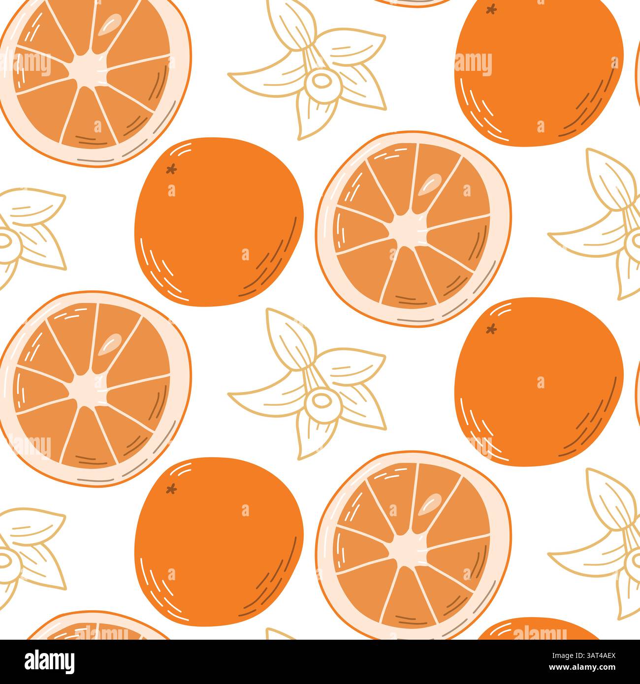 Pomegranate orange fruit on Stock Vector Images - Alamy