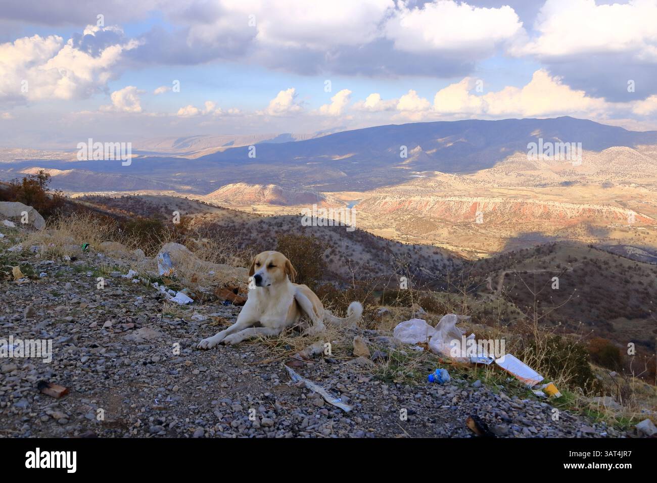 the scenic landscape of Safin mountains near Shaqlawa, Erbil, Arbil ...