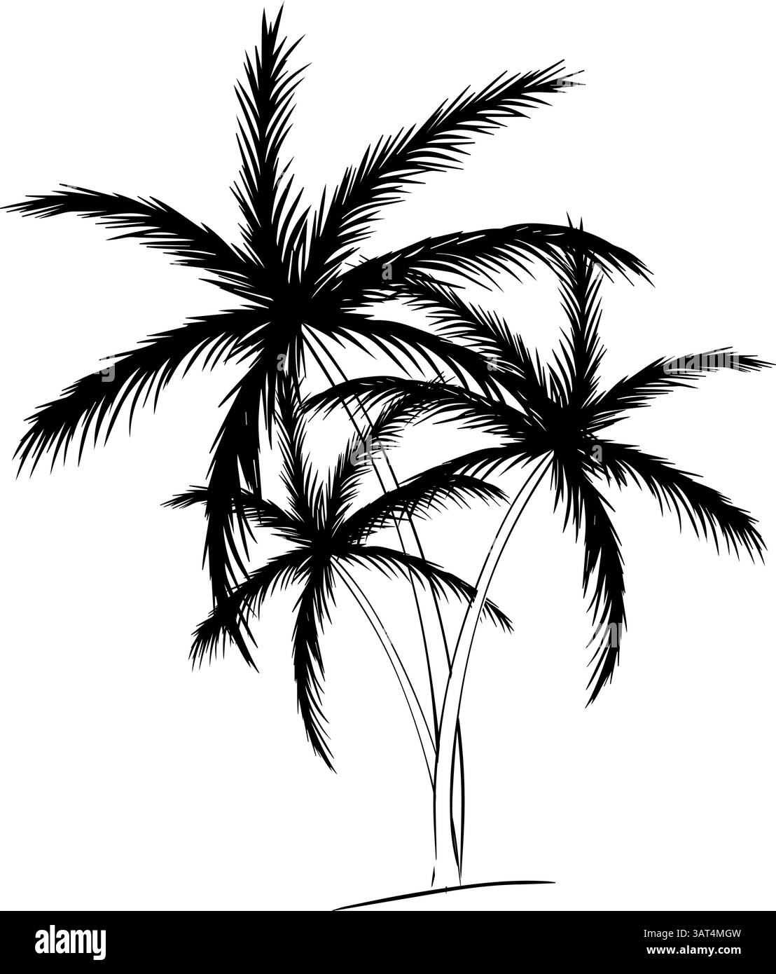 Tree palm tree silhouette composition. Vector graphic line ink ...