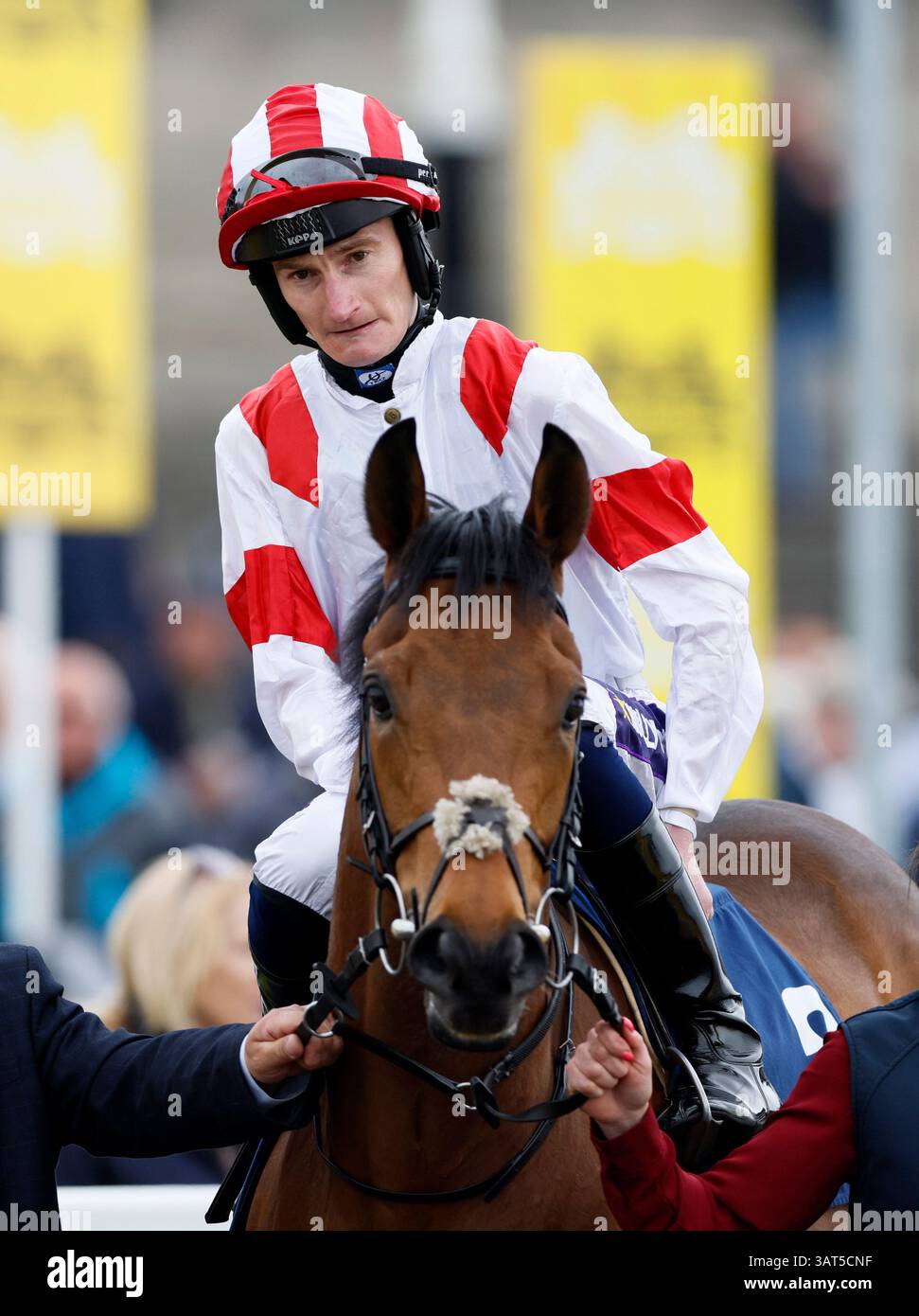 Glittering Legend and jockey Daniel Muscutt before the BetMGM Burradon ...
