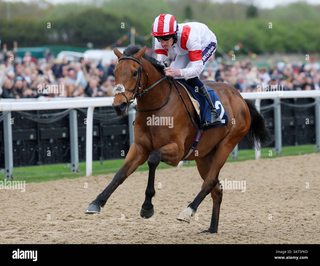 Glittering Legend and jockey Daniel Muscutt win the BetMGM Burradon ...