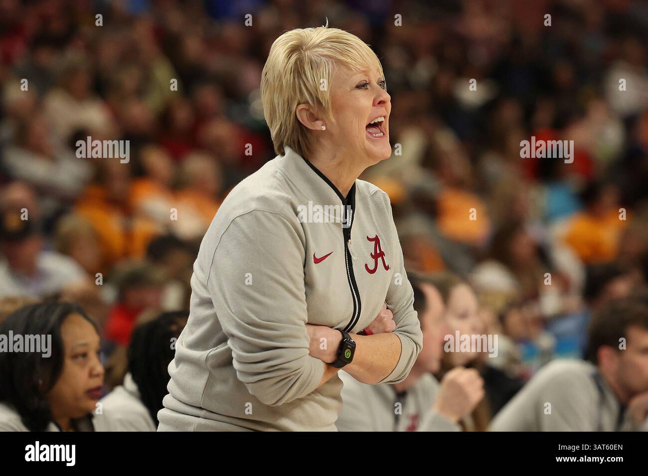 GREENVILLE, SC - MARCH 06: Alabama Crimson Tide head coach Kristy Curry ...