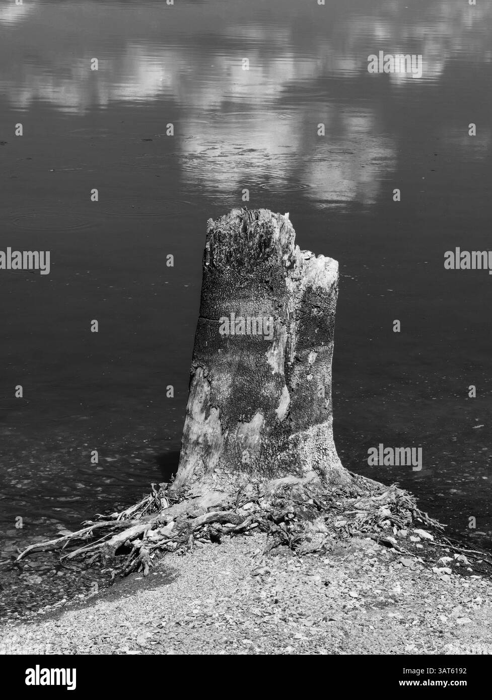 Stillness reflection Black and White Stock Photos & Images - Alamy