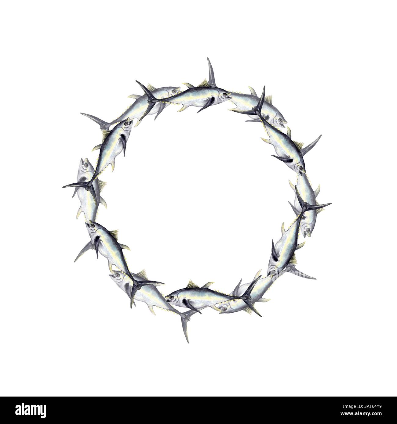 Fish border Cut Out Stock Images & Pictures - Alamy