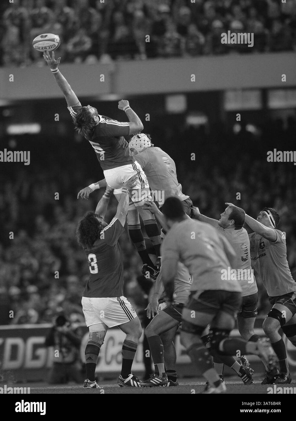 Rugby lions 2013 Black and White Stock Photos & Images - Alamy