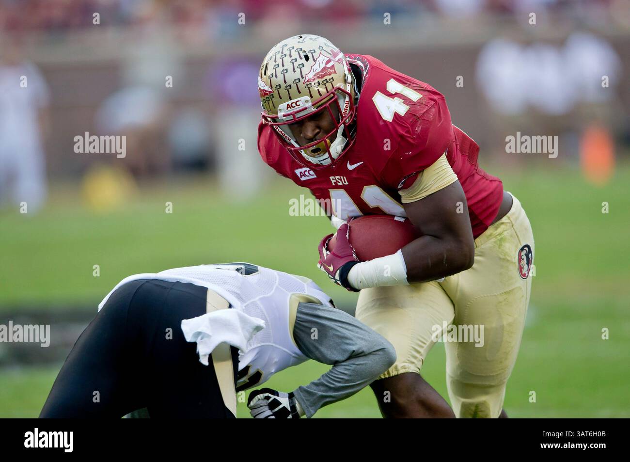 November 23, 2013: Florida State Seminoles fullback Chad Abram (41 ...