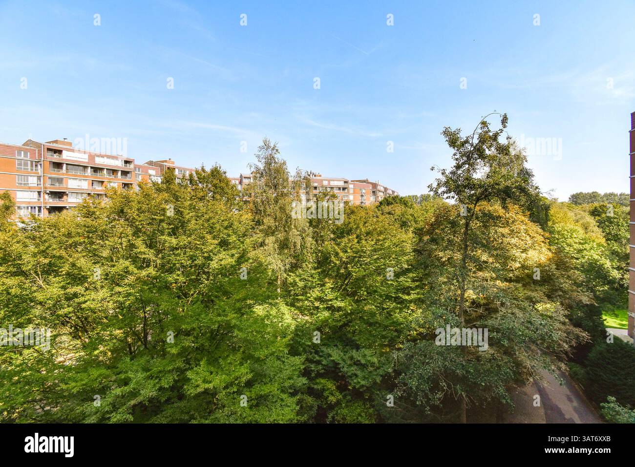 A vibrant urban scene showcasing lush greenery alongside contemporary ...
