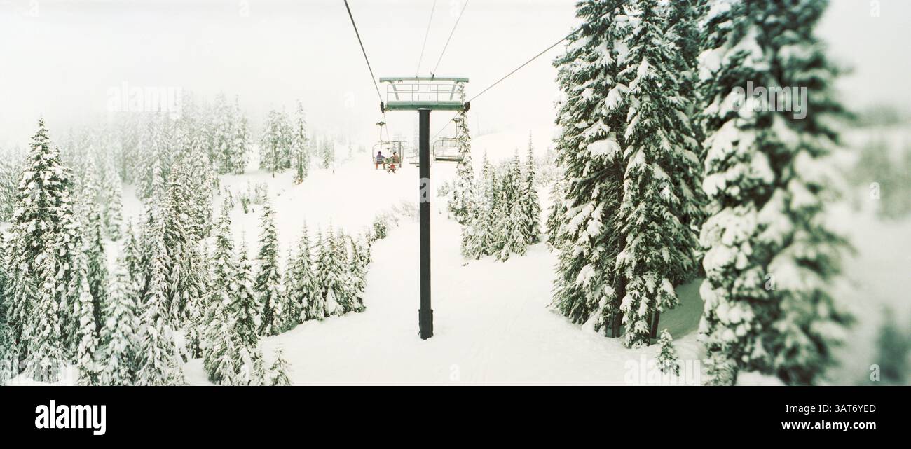 Panoramic view of chair lift and snowy evergreen trees at Stevens Pass ...
