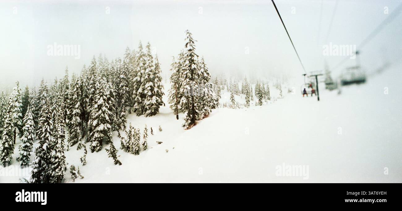 Panoramic chair lift and snowy evergreen trees at Stevens Pass ...