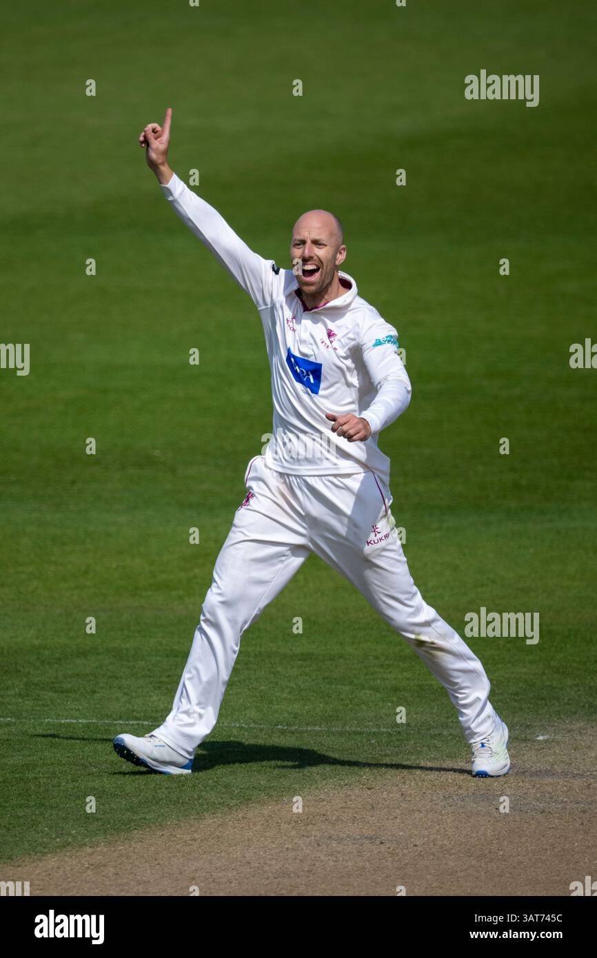 Jack leach celebrating wicket hi-res stock photography and images - Alamy