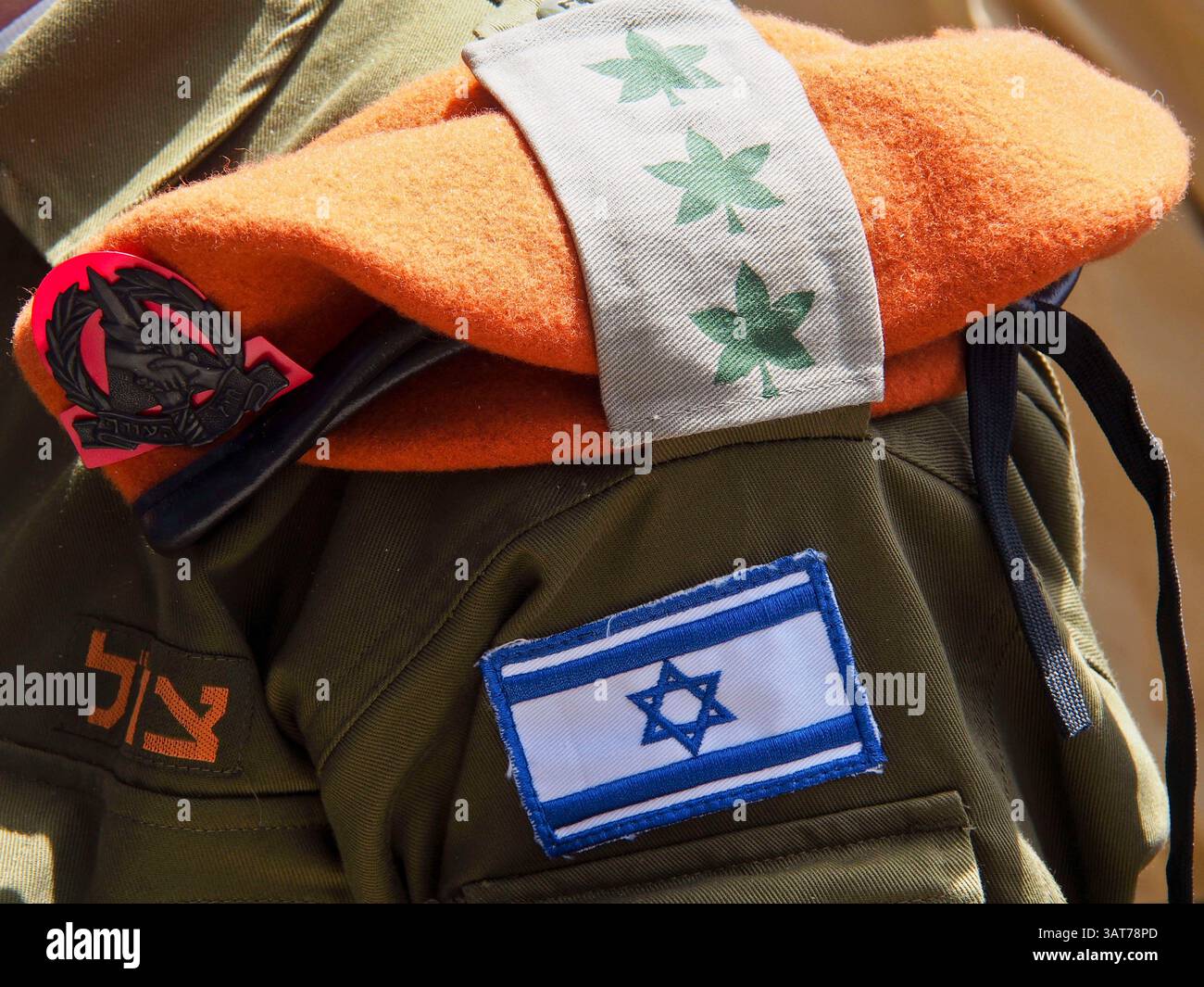 May 29, 2013 - Jerusalem, Israel - The shoulder and typical orange ...