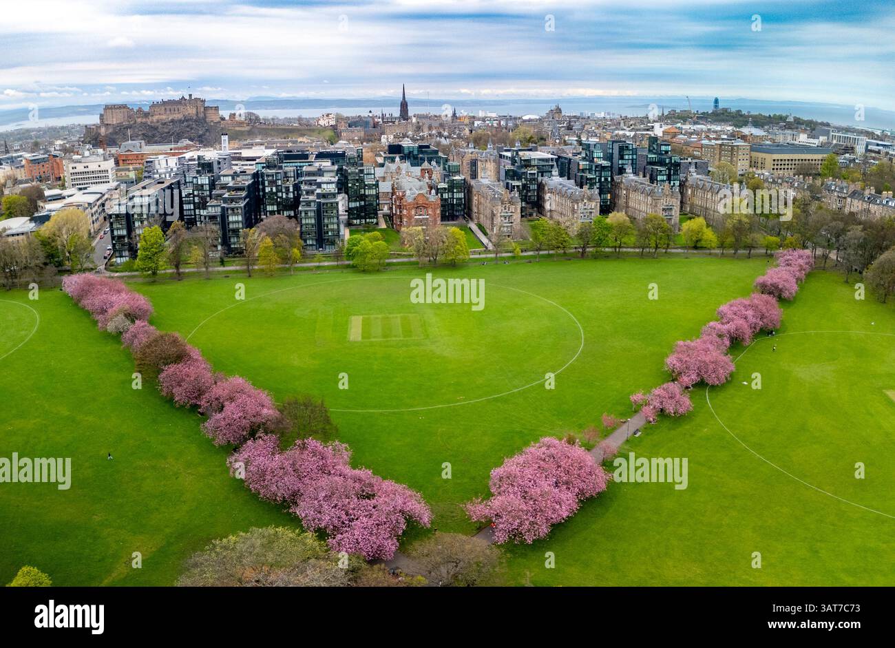 Cherry Blossom in full bloom at The Meadows park in Edinburgh, Scotland ...