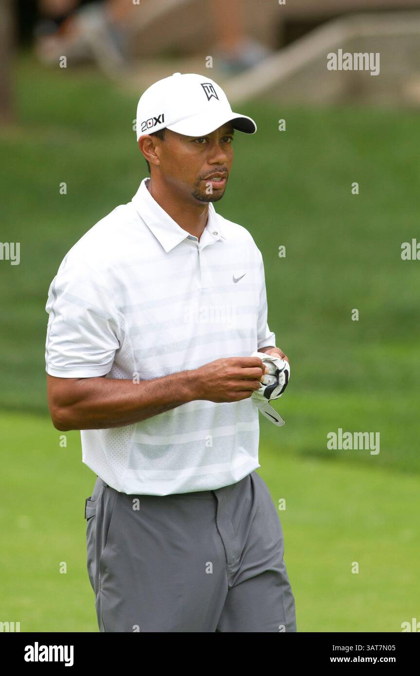 Tiger woods 2013 memorial hi-res stock photography and images - Alamy