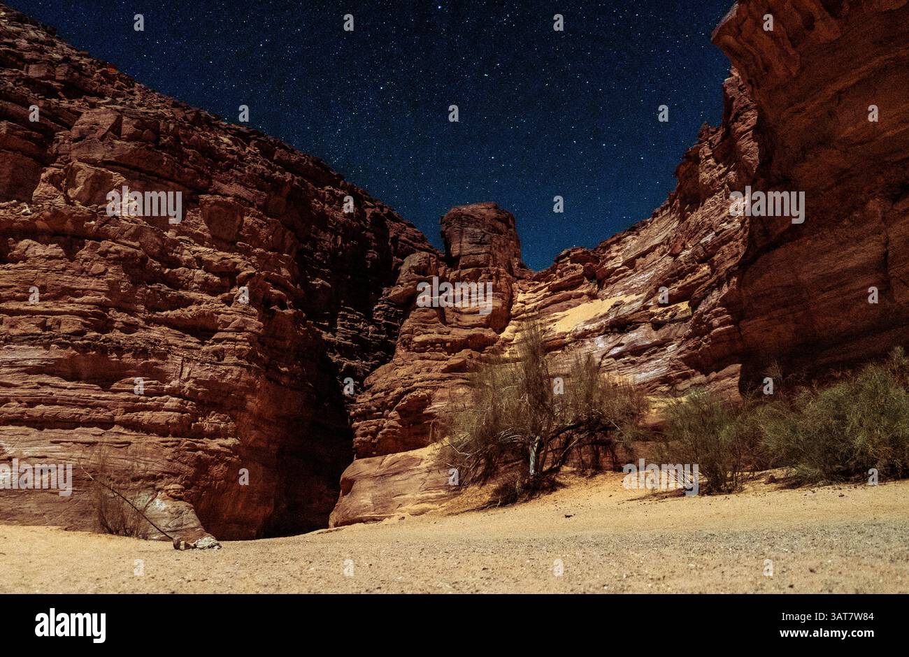 Breathtaking view night sky hi-res stock photography and images - Alamy