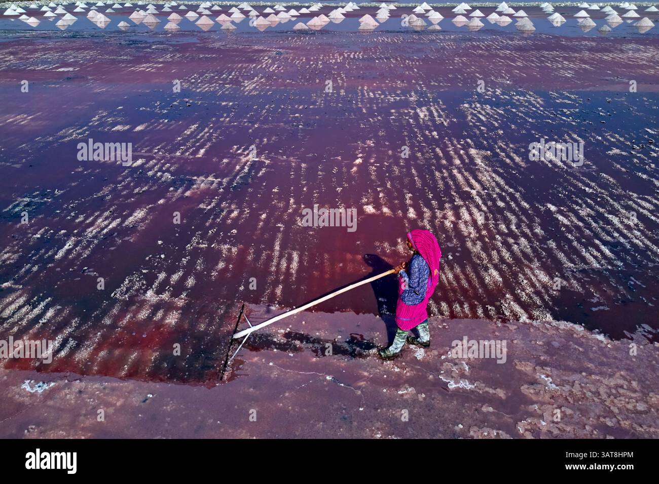 India, Rajasthan, Sambhar Lake, salt mining, woman working in the salt ...