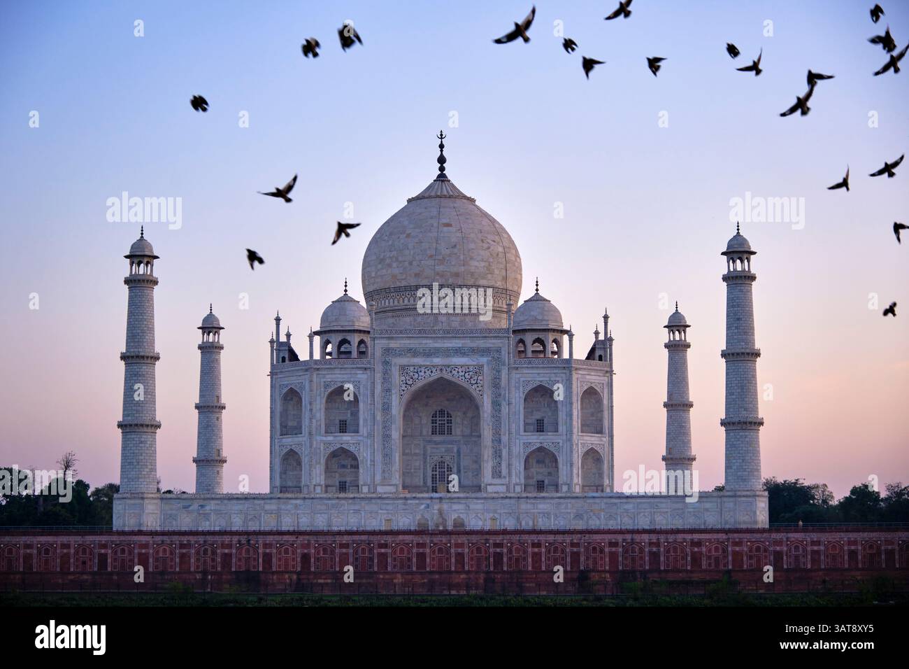 India, Uttar Pradesh state, Agra, the Taj Mahal, mausoleum of Mumtaz ...