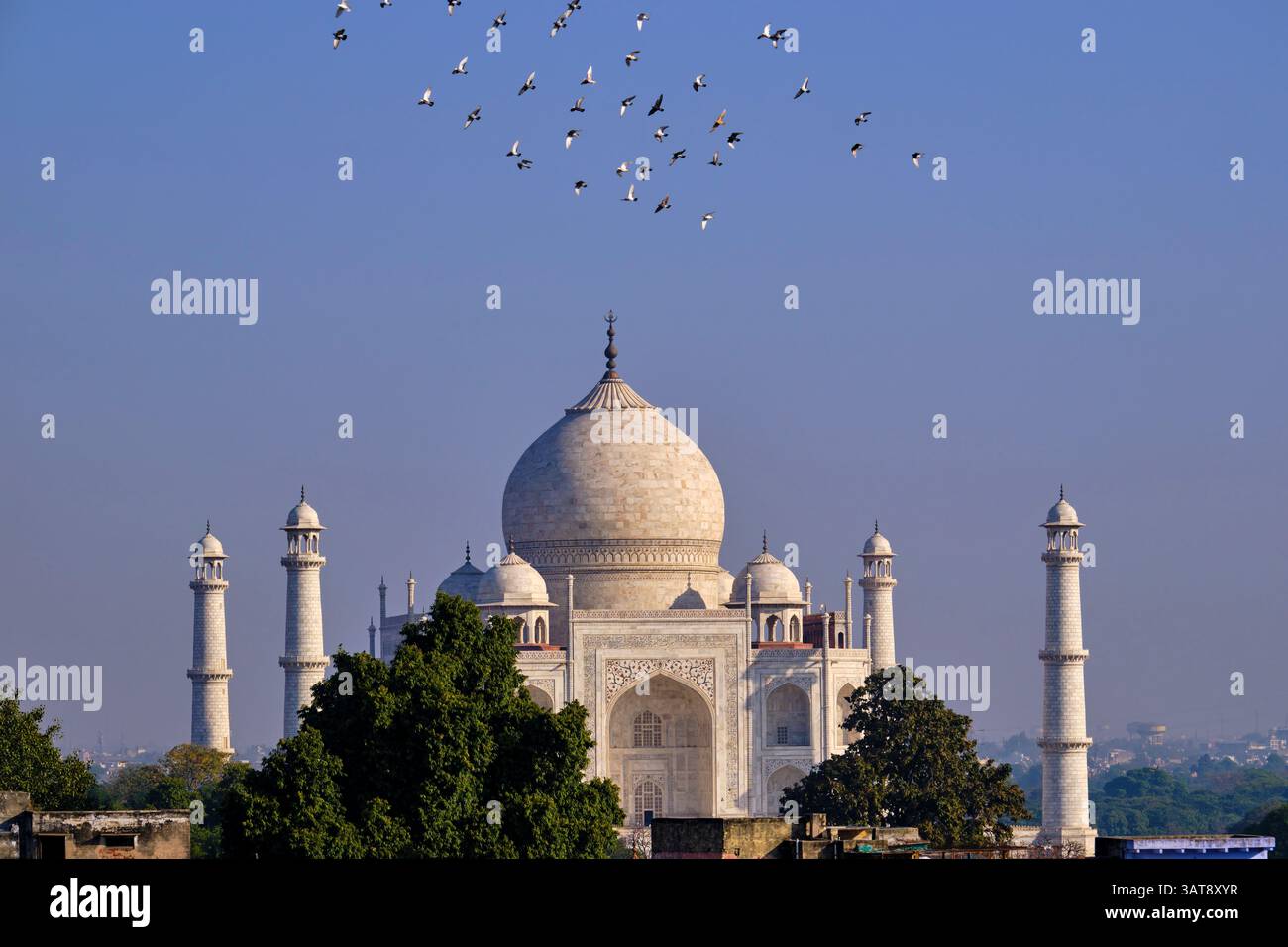India, Uttar Pradesh state, Agra, the Taj Mahal, mausoleum of Mumtaz ...