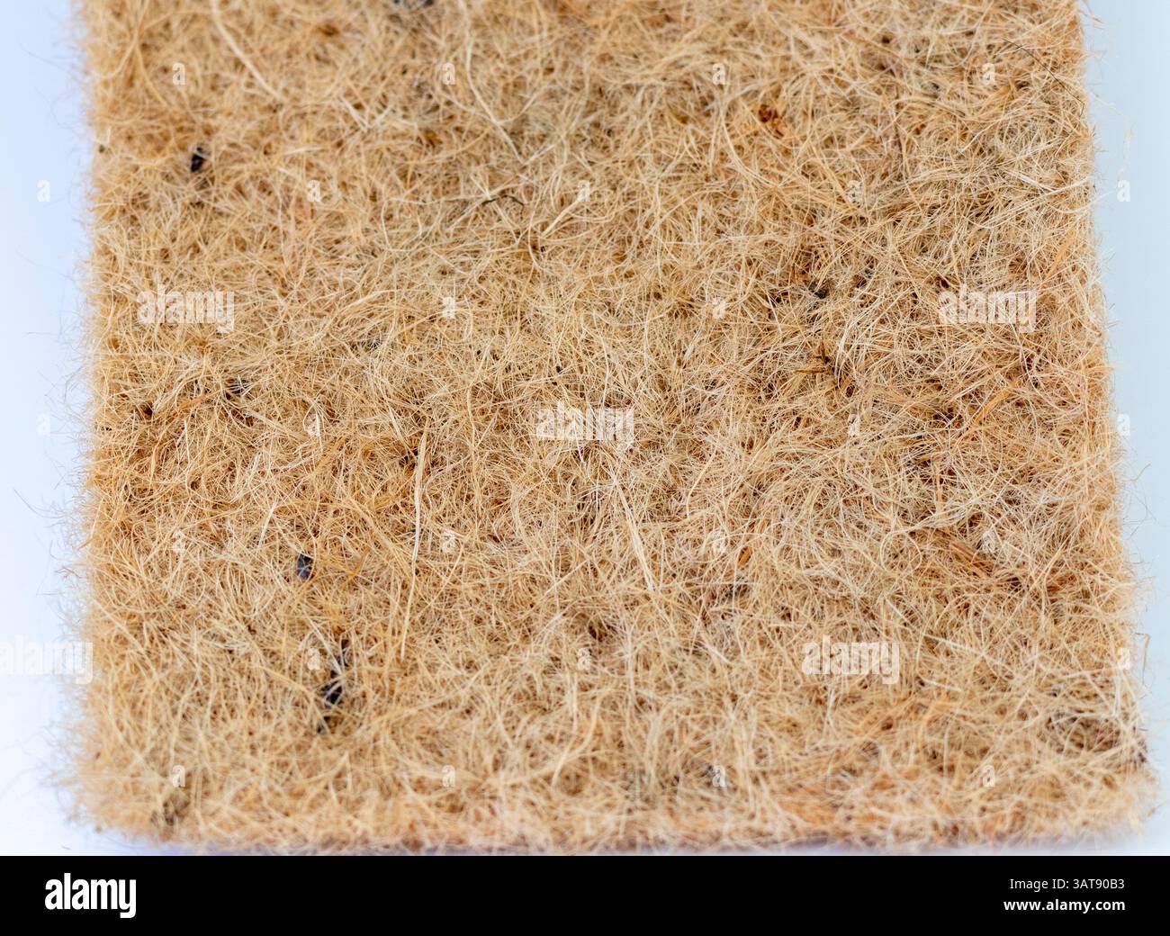 Close up shot of the jute mat surface used for growing micro greens ...