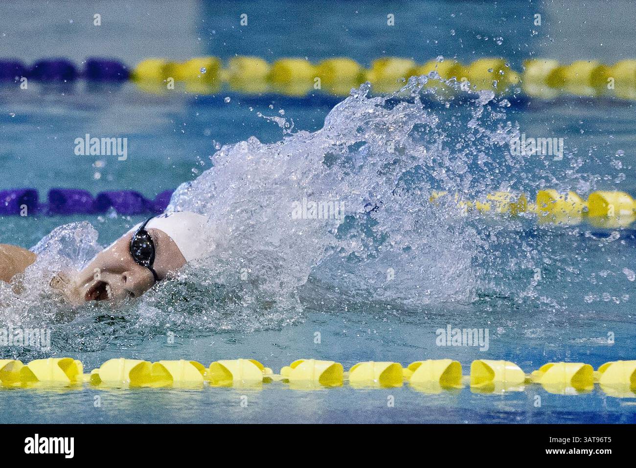 Brittany maclean hi-res stock photography and images - Alamy