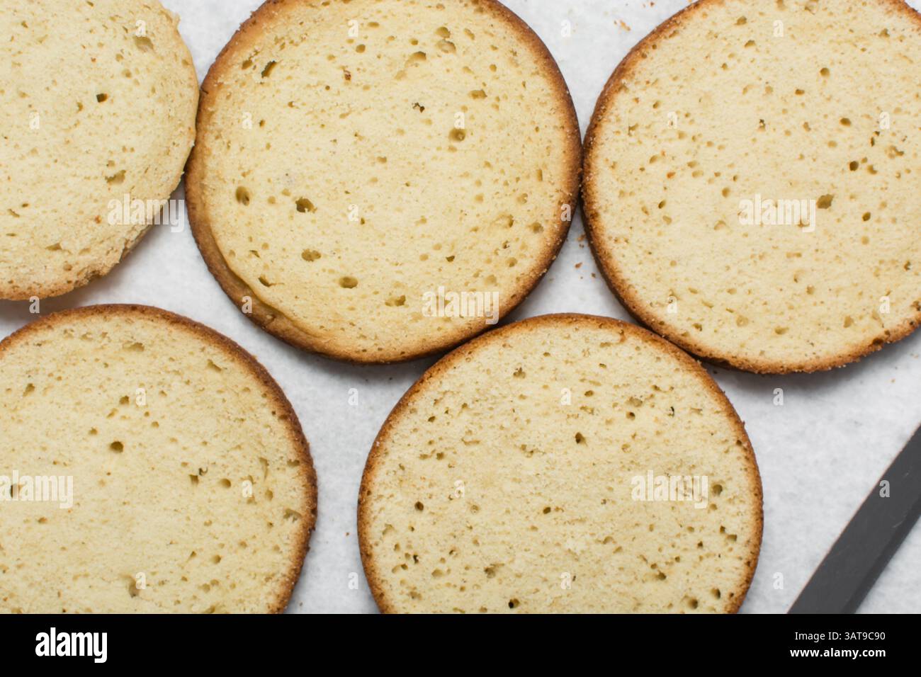 Overhead view of vanilla cake layers on a white countertop, top view of ...